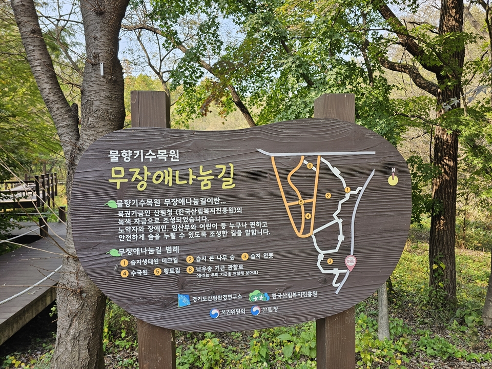 수도권 도심 속 울창한 숲길 '장관'